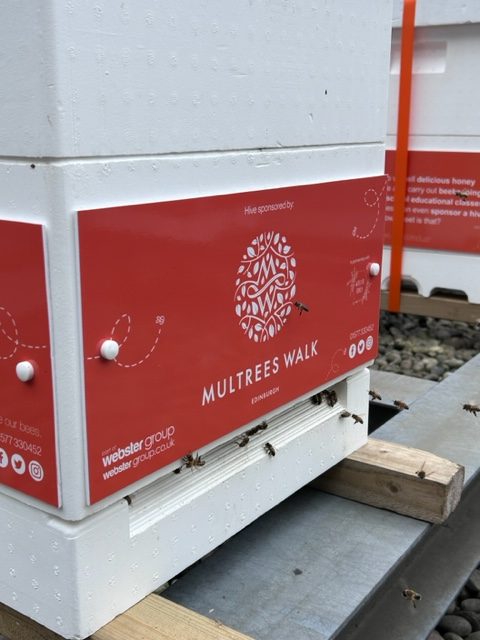 Beehive Sponsorship – Multrees Walk